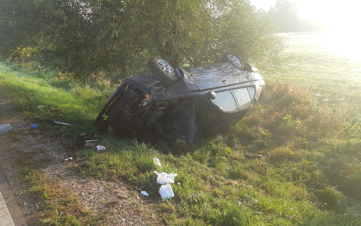 Az autó oldalának futott neki egy szarvas Bakonytamásinál, hárman megsérültek | Hírek | infoPápa